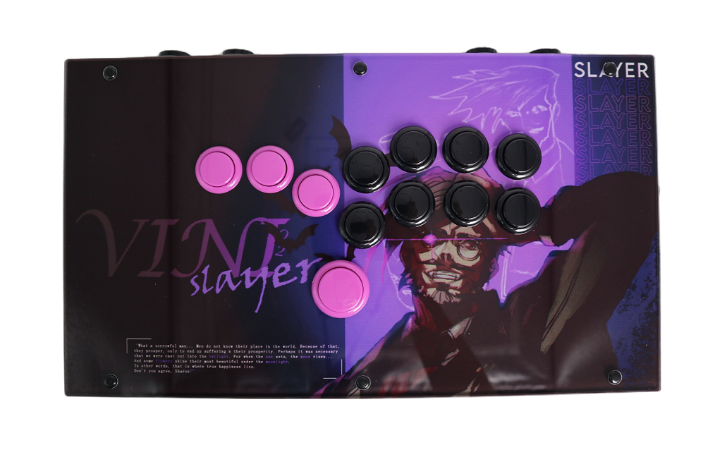 FightBox F1 Arcade Game Controller Custom Panel Project 27/08/2024 ...